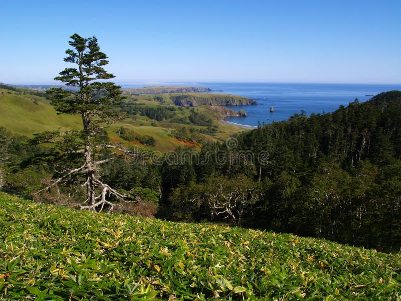 Subtropical island stock image. Image of autumn, range - 6749929