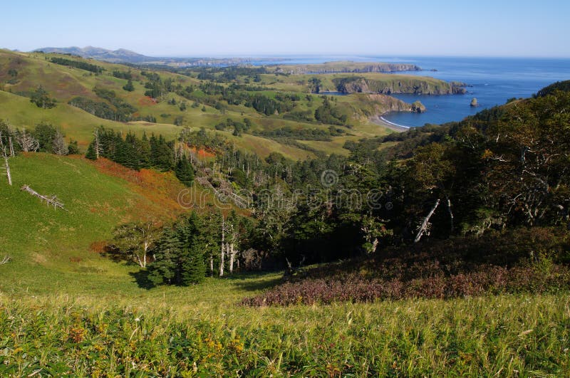 Subtropisch eiland stock afbeelding. Image of eilanden - 3633841