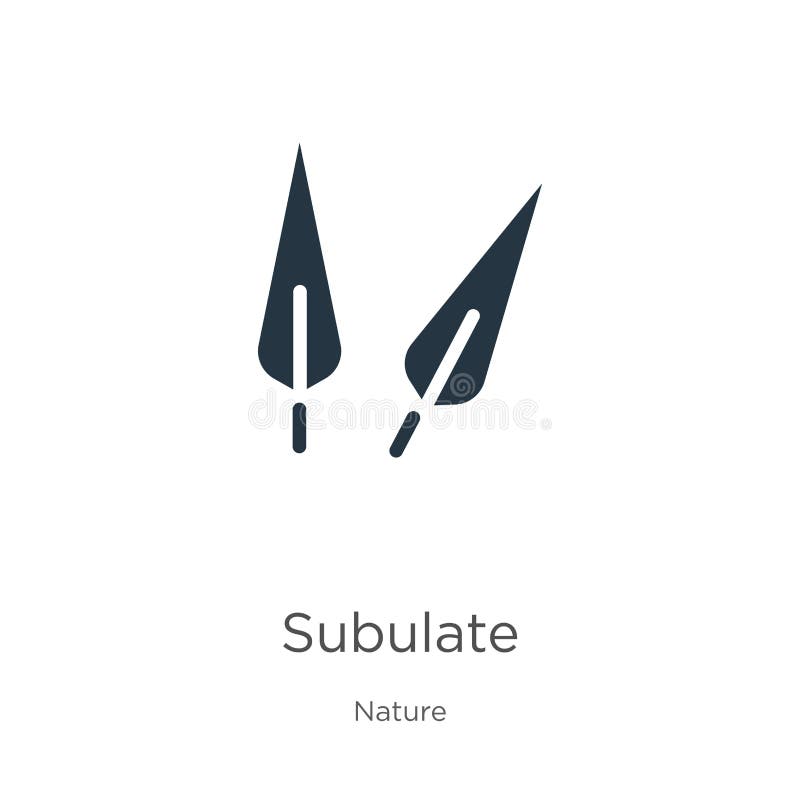 Subulate Leaf Flat Icon Stock Illustrations – 13 Subulate Leaf Flat ...