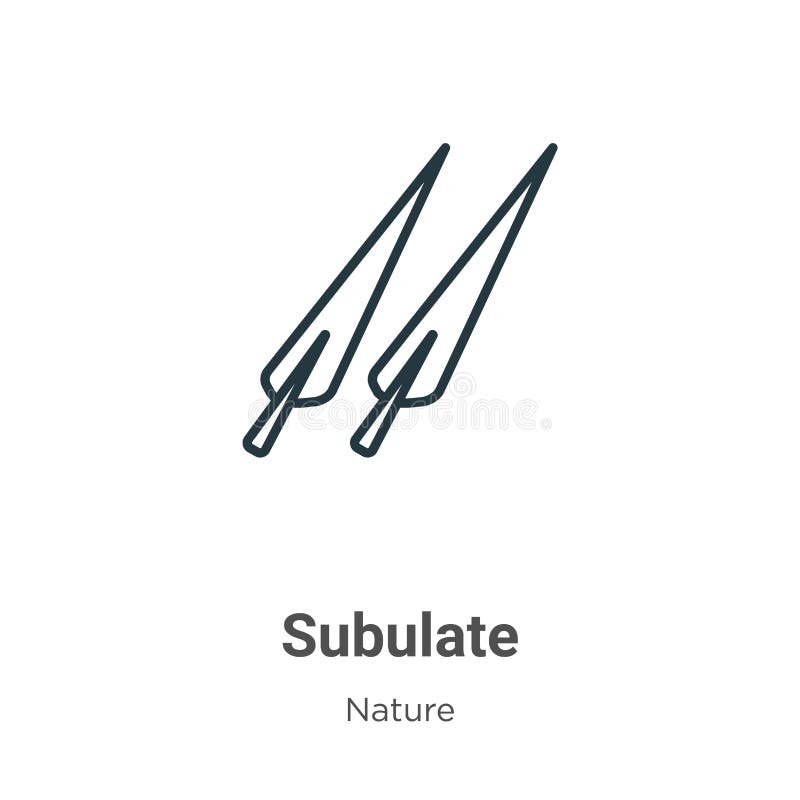 Subulate Vector Stock Illustrations – 50 Subulate Vector Stock ...
