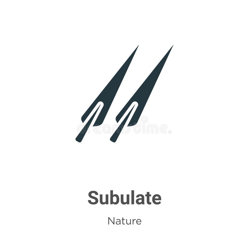 Subulate Leaf Flat Icon Stock Illustrations – 13 Subulate Leaf Flat ...