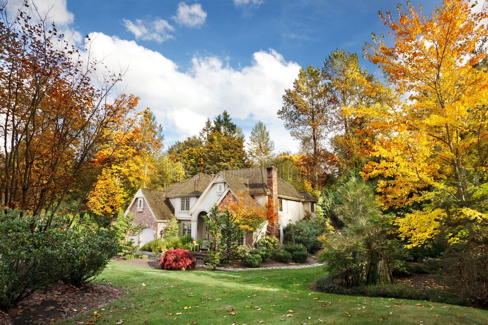 Suburban home in fall stock photo. Image of lawn, autumn - 19774156