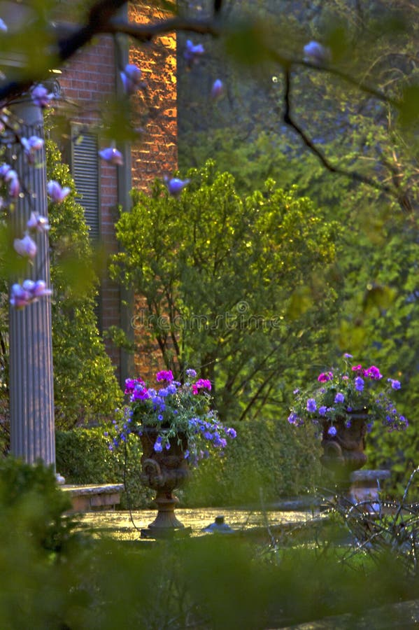 Suburban House Doorstep at Night Stock Image - Image of flowers ...