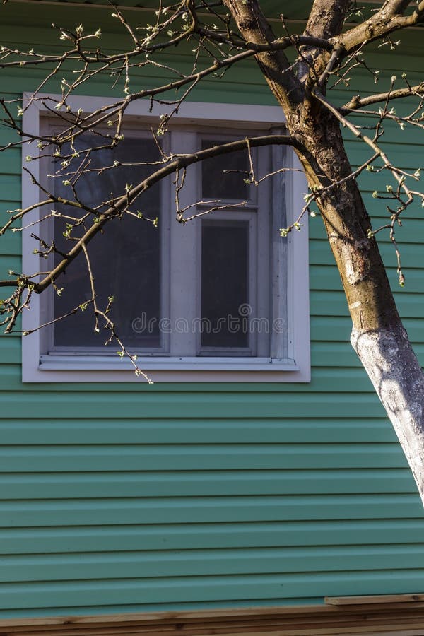 Suburban House with Siding and Apple Tree Branch in Spring Stock Photo ...