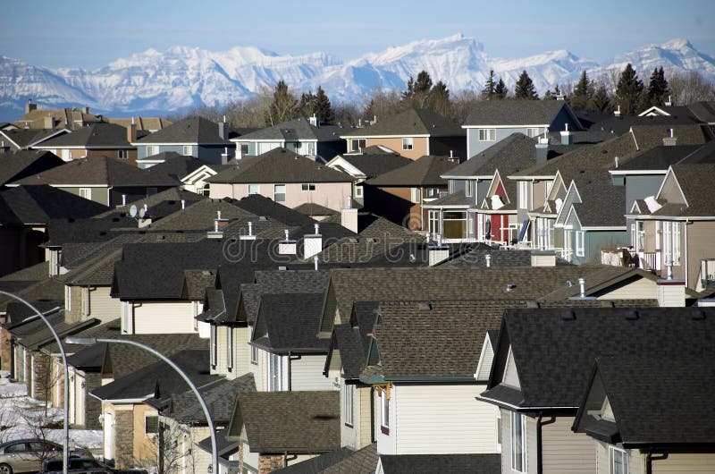 Suburban roof tops stock photo. Image of urban, canada - 4356482