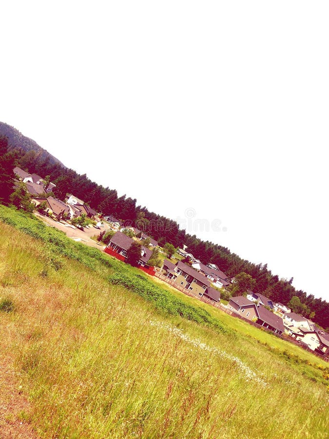 Suburbian Grove Stock Photos - Free & Royalty-Free Stock Photos from ...