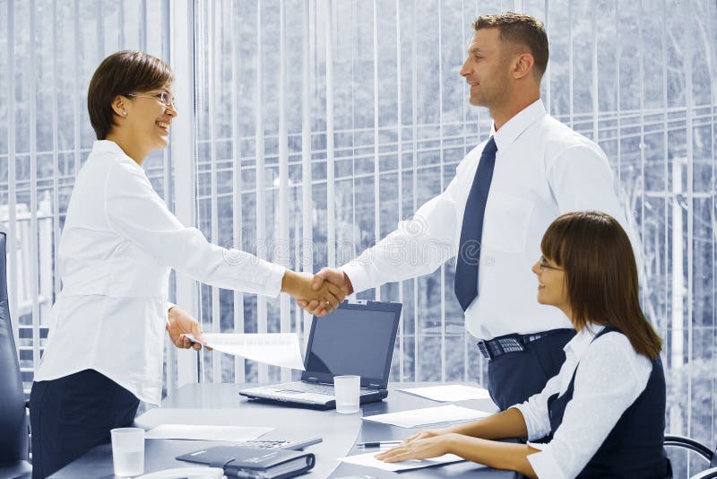 Success stock image. Image of discuss, partnership, director - 10833537
