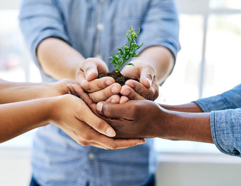 Success Starts Out Small. a Team of Colleagues Holding a Plant. Stock ... Success Starts Out Small. a Team of Colleagues Holding a Plant. Stock ...