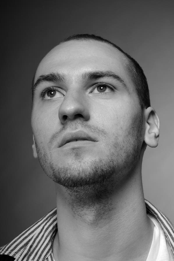 Successful Business Man Portrait Stock Image - Image of male, young ...