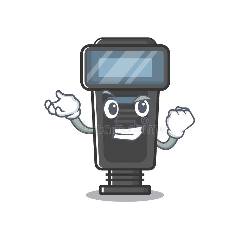 Successful Camera Flash Isolated with the Mascot Stock Vector ...