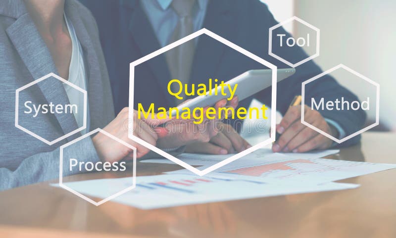 Successful Young Consultants Working in an Office, Quality Management ...