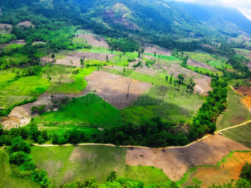 Succession or Encroachment of Tree into a Clearing Stock Photo - Image ...