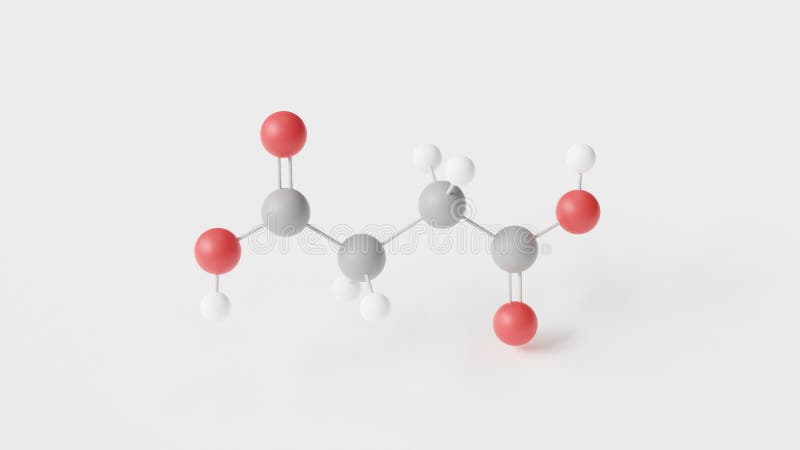 Succinic Acid Molecule 3d, Molecular Structure, Ball and Stick Model ...