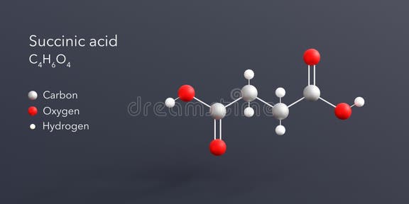 Succinic Acid Molecule 3d Rendering, Flat Molecular Structure with ...