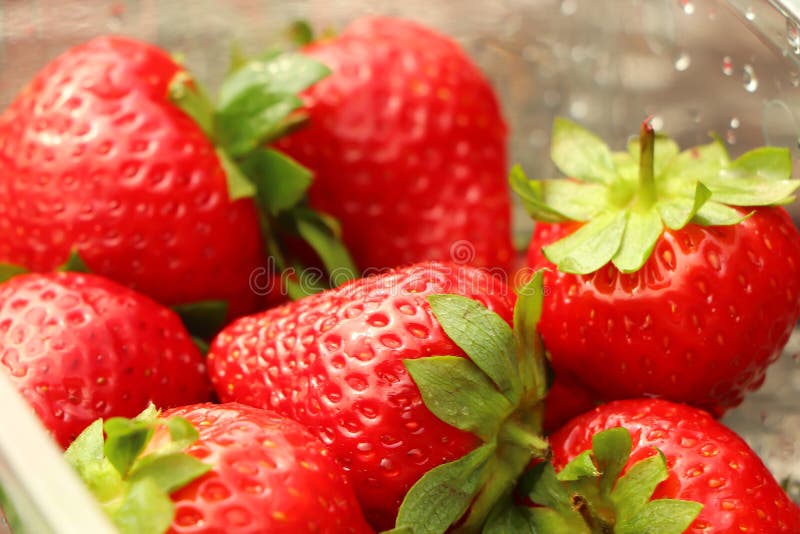 Succulent, Fresh Food Waiting To Be Devoured Stock Image - Image of ...