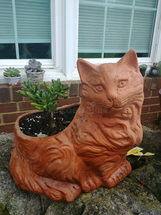 Succulent Garden Cat Clay Pot Stock Photo - Image of garden, succulent ...