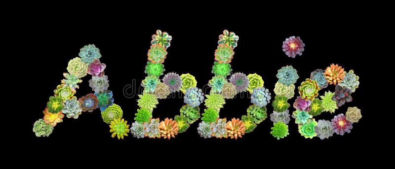 Abbie stock illustration. Illustration of girl, black - 8156499