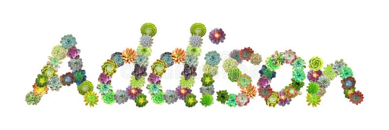 Addison Name Stock Illustrations – 113 Addison Name Stock Illustrations ...
