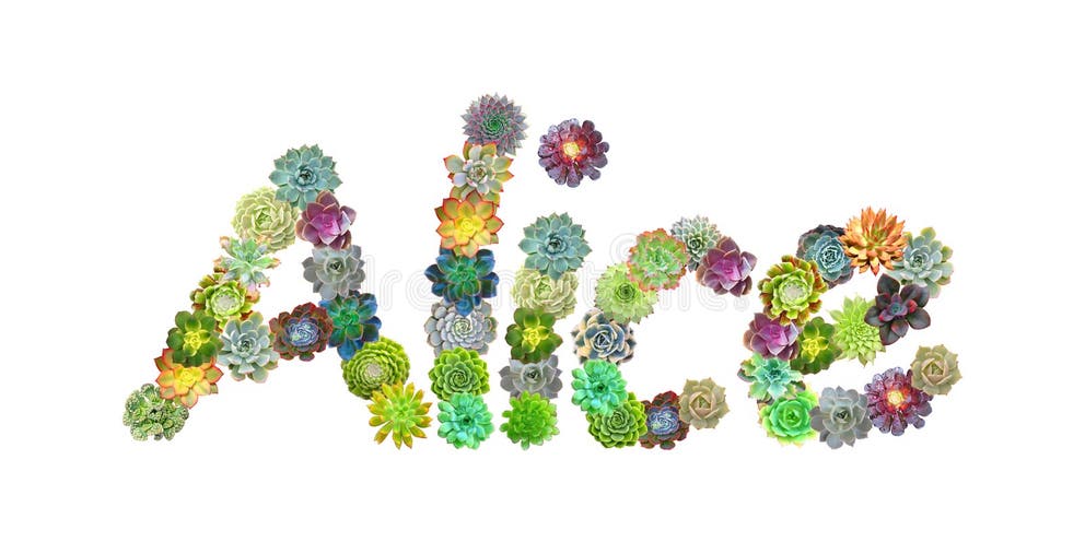 Name Alice Stock Illustrations – 95 Name Alice Stock Illustrations ...