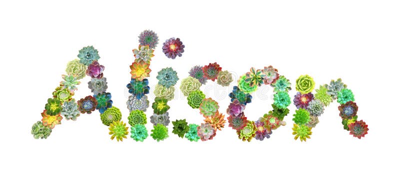 Alison Stock Illustrations – 51 Alison Stock Illustrations, Vectors ...