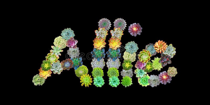 Name Allie Stock Illustrations – 3 Name Allie Stock Illustrations ...