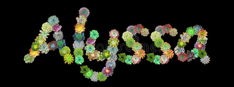 Name Alyssa Stock Illustrations – 9 Name Alyssa Stock Illustrations ...