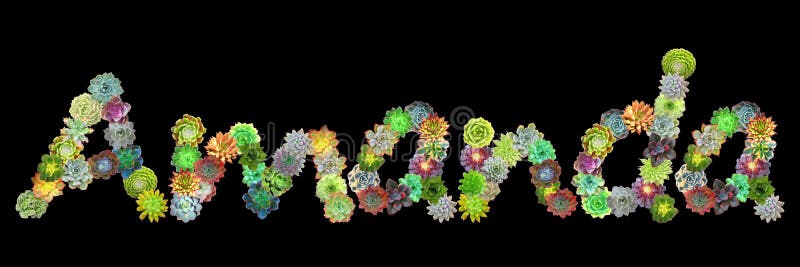 Amanda Name Stock Illustrations – 13 Amanda Name Stock Illustrations ...