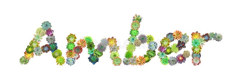 Name Amber Stock Illustrations – 236 Name Amber Stock Illustrations ...