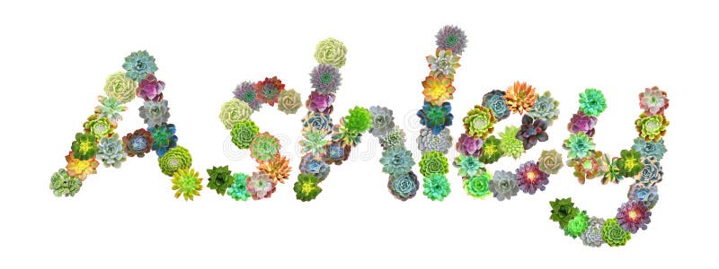 Ashley Name Design Wallpaper