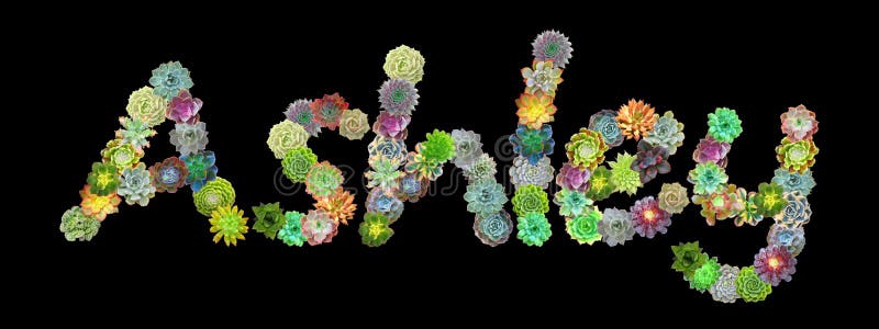 Ashley Stock Illustrations – 55 Ashley Stock Illustrations, Vectors ...