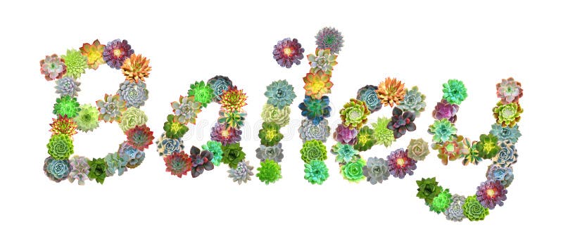 Name Bailey Stock Illustrations – 8 Name Bailey Stock Illustrations ...