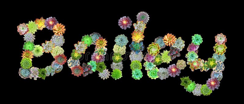 Name Bailey Stock Illustrations – 8 Name Bailey Stock Illustrations ...