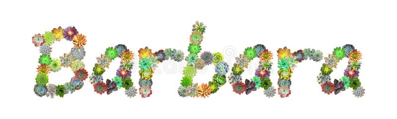 Name Barbara Stock Illustrations – 40 Name Barbara Stock Illustrations ...