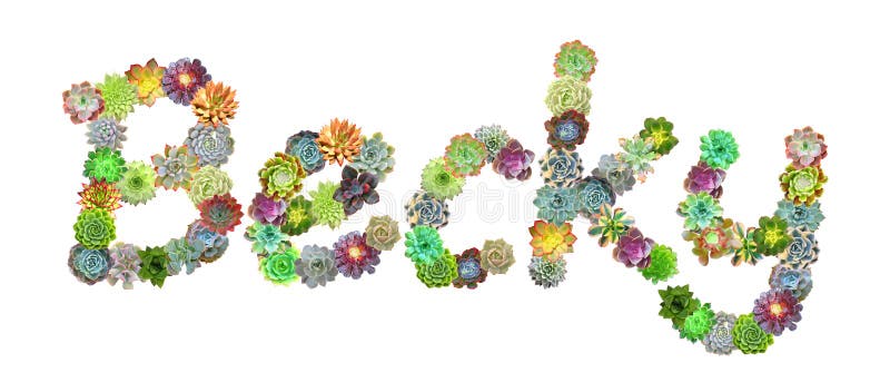 Name Becky Stock Illustrations – 3 Name Becky Stock Illustrations ...