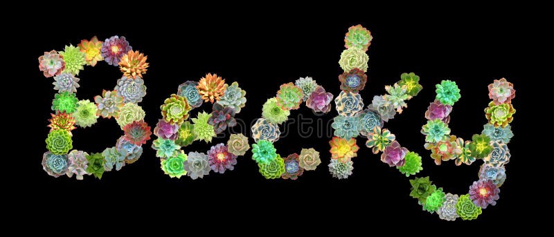 Name Becky Stock Illustrations – 3 Name Becky Stock Illustrations ...