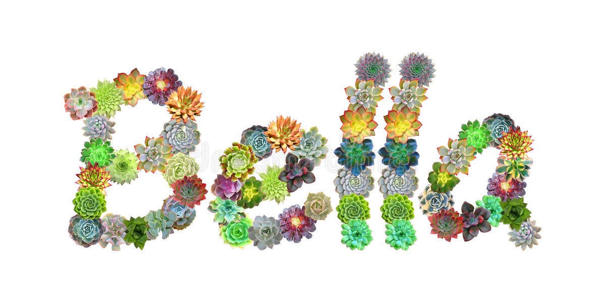 Name Bella Stock Illustrations – 150 Name Bella Stock Illustrations ...