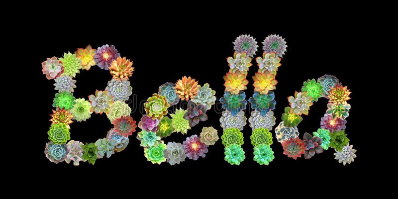 Name Bella Stock Illustrations – 12 Name Bella Stock Illustrations ...