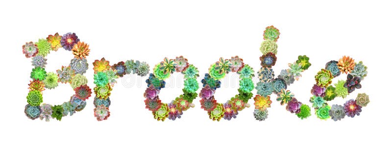 Brooke Stock Illustrations – 61 Brooke Stock Illustrations, Vectors ...