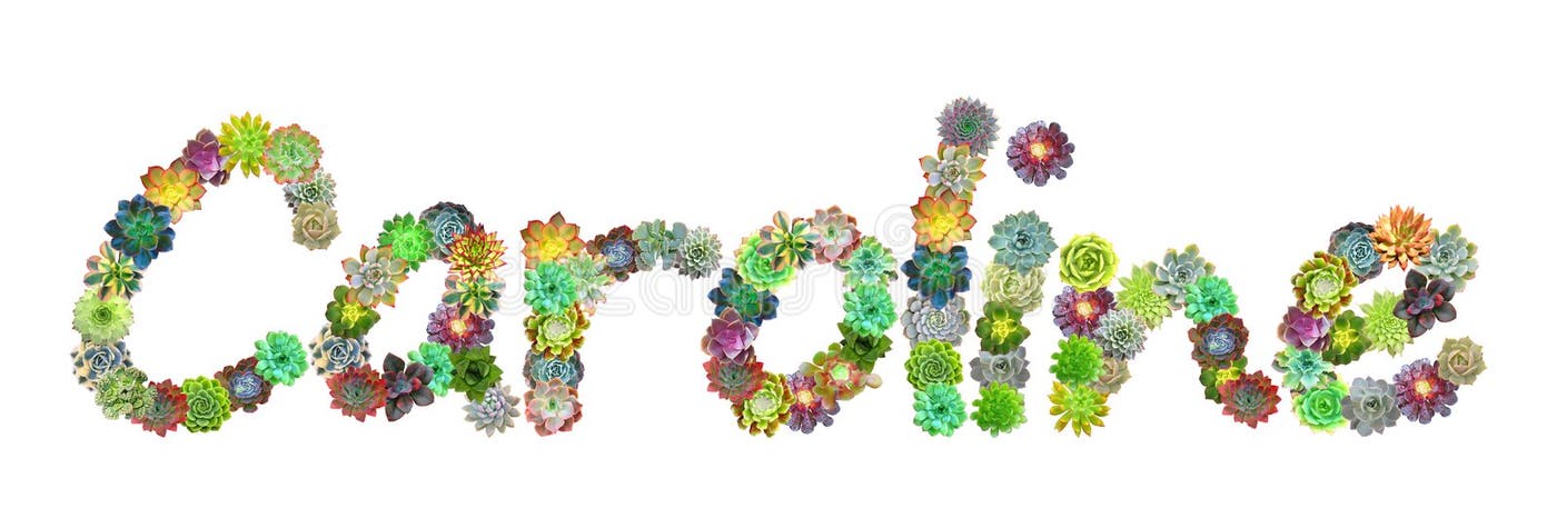 Name Caroline Stock Illustrations – 79 Name Caroline Stock ...