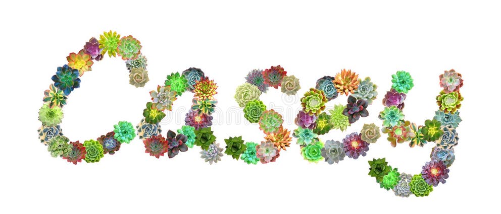 Succulent Name Casey stock illustration. Illustration of custom - 85444519