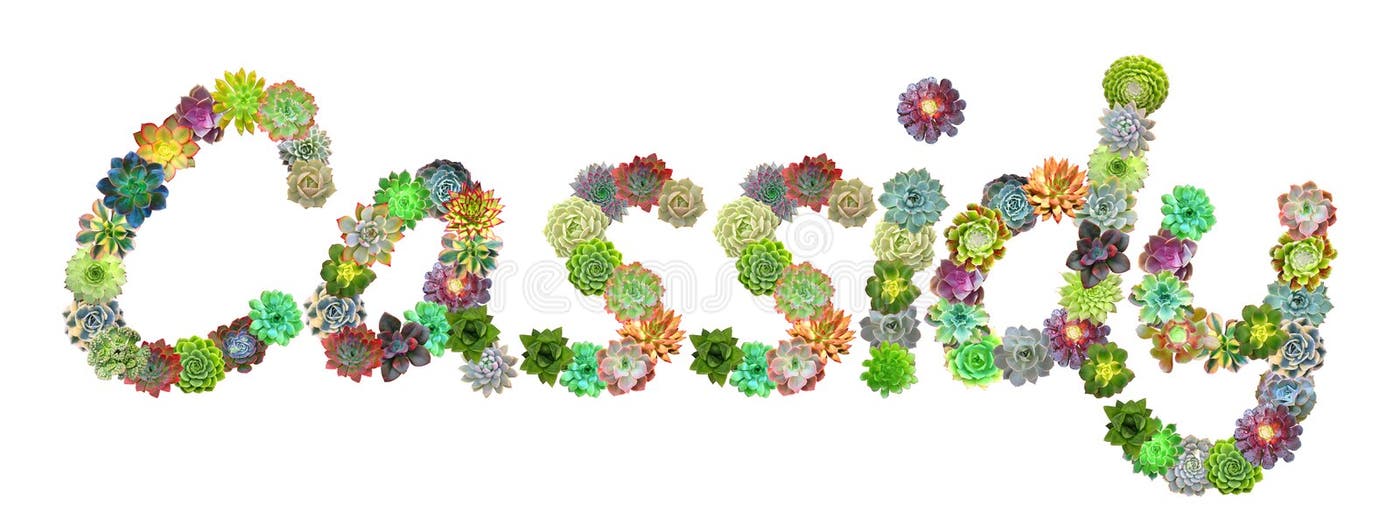 Succulent Name Cassidy Stock Illustrations – 1 Succulent Name Cassidy ...
