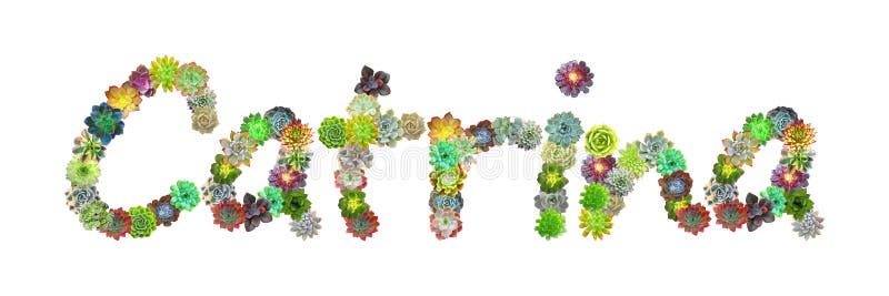 Name Catrina Stock Illustrations – 1 Name Catrina Stock Illustrations ...