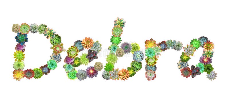 Name Debra Stock Illustrations – 3 Name Debra Stock Illustrations ...