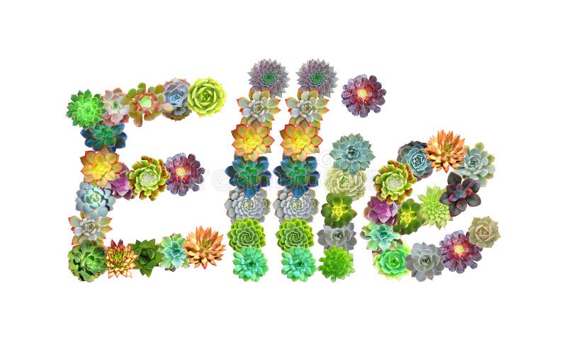 Name Ellie Stock Illustrations – 34 Name Ellie Stock Illustrations ...