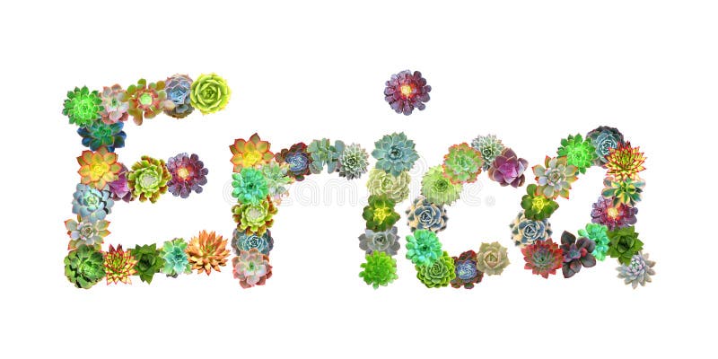 Name Erica Stock Illustrations – 7 Name Erica Stock Illustrations ...