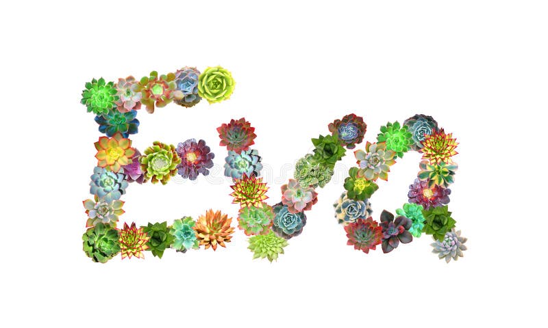 Name Eva Stock Illustrations – 20 Name Eva Stock Illustrations, Vectors ...