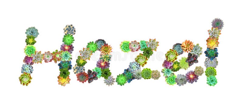 Name Hazel Stock Illustrations – 27 Name Hazel Stock Illustrations ...