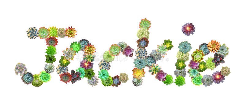 Name Jackie Stock Illustrations – 3 Name Jackie Stock Illustrations ...