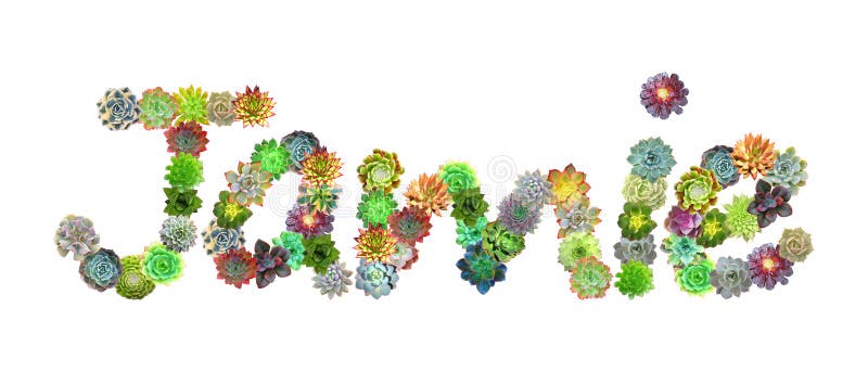 Name Jamie Stock Illustrations – 9 Name Jamie Stock Illustrations ...