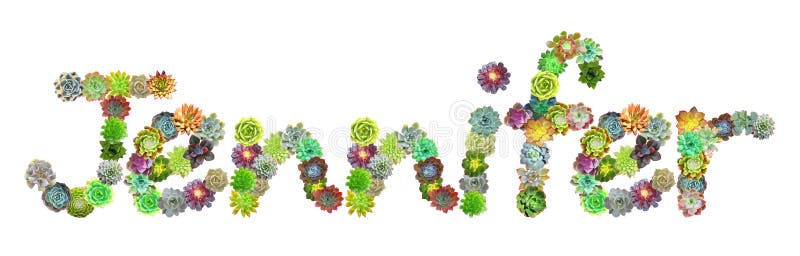 Name Jennifer Stock Illustrations – 12 Name Jennifer Stock ...